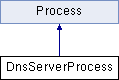 Cisco Packet Tracer Extensions API: DnsServerProcess Class Reference